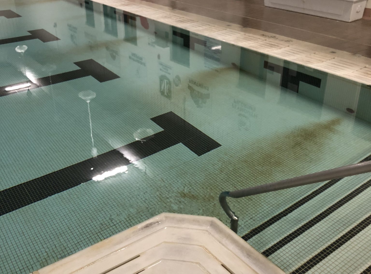 How to Manage Iron in Swimming Pools | Natural Pool Products Blog